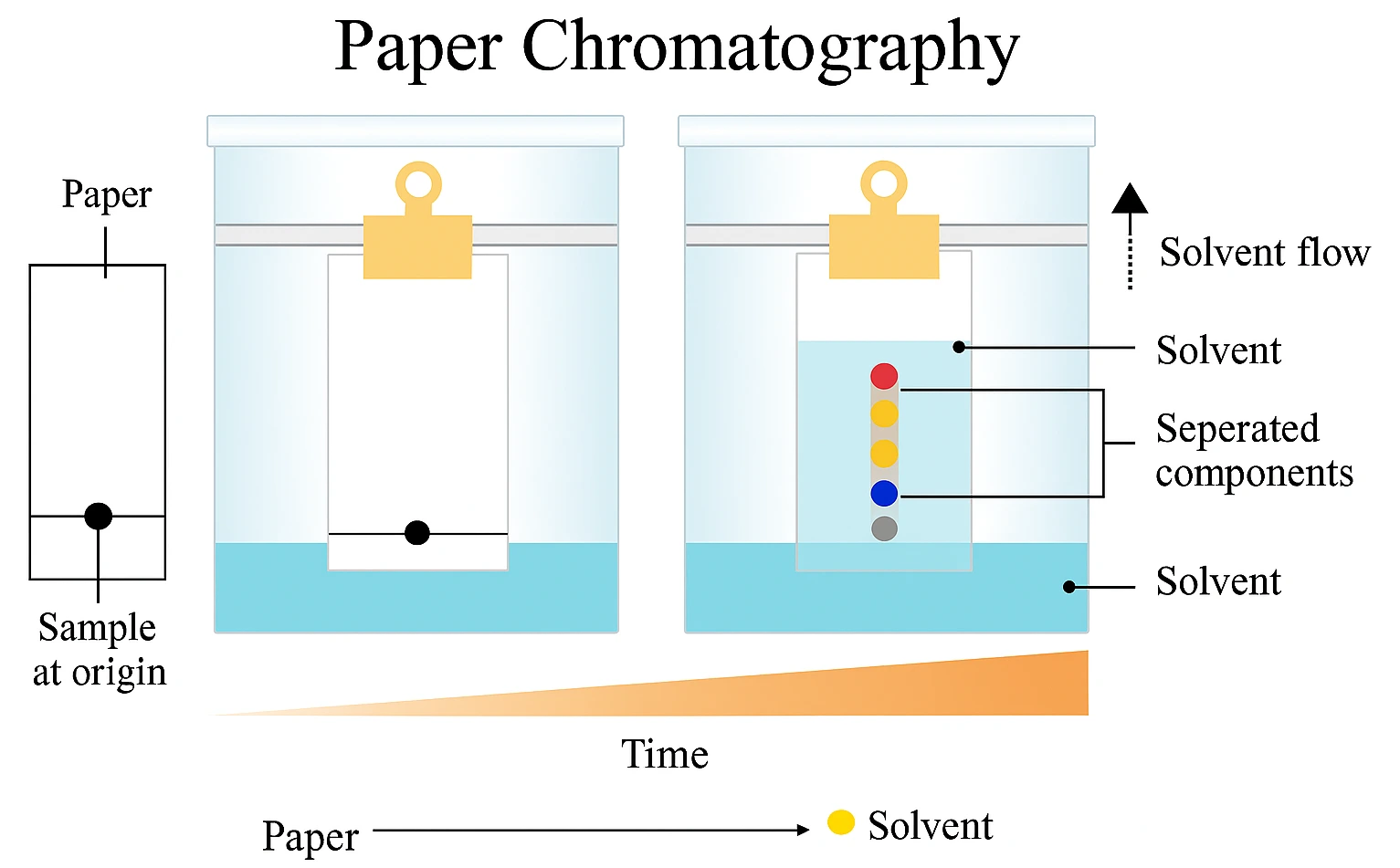 Paper Chromatography: Principle, Instrumentation & Applications - Get ...